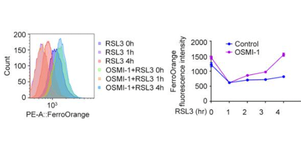 HY-100218A-1ml | RSL3 [1219810-16-8] Biotrend