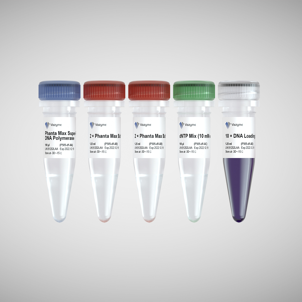 P505-d3 | Phanta Max Super-Fidelity DNA Polymerase Biotrend