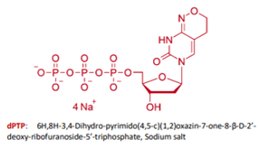 MT020 | PickMutant™ Random Mutagenesis Kit Biotrend