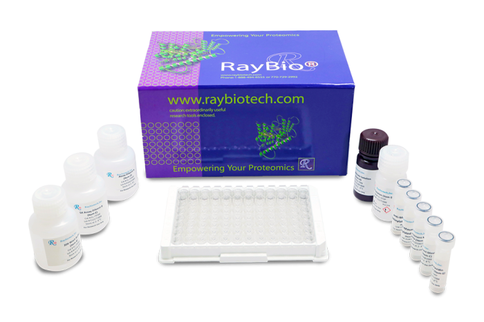 IEQ-ZEBOVVP24-IgG-1 | Zaire Ebolavirus VP24 Protein Human IgG ELISA