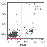 Bone marrow CD34+ stem cells Biotrend