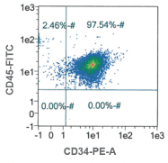 Bone marrow CD34+ stem cells Biotrend