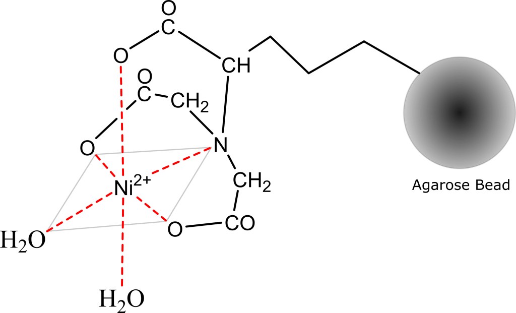 Nickel-NTA FPLC columns Biotrend